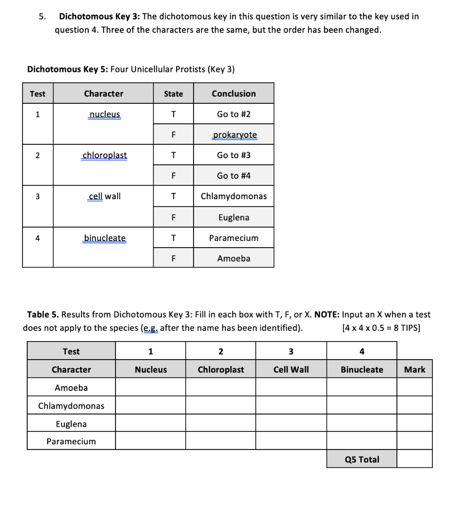 5. Dichotomous Key 3: The dichotomous key in this | Chegg.com
