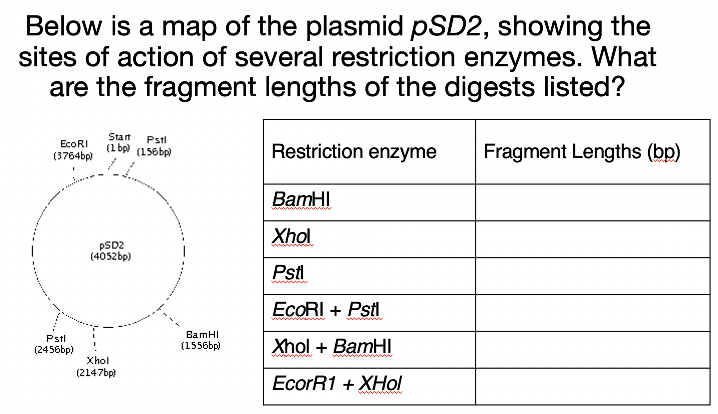 Solved Below is a map of the plasmid PSD2, showing the sites | Chegg.com