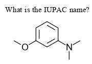 Solved What is the IUPAC name? N | Chegg.com