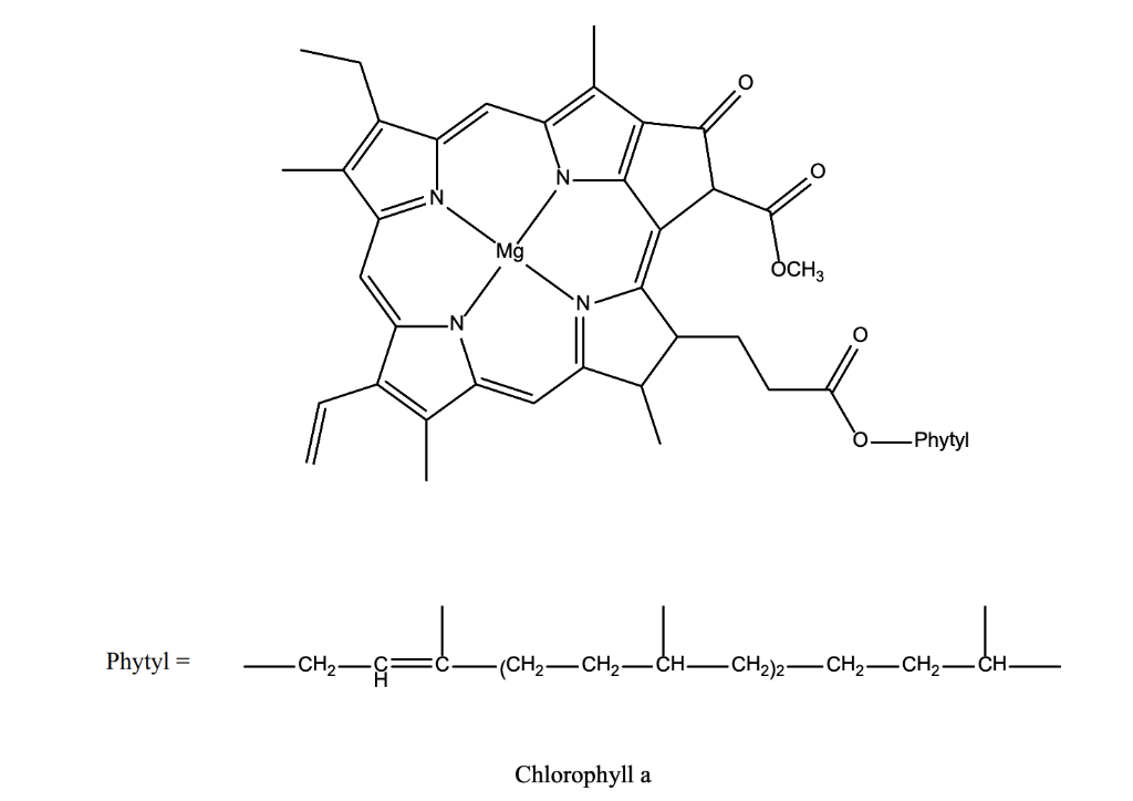 4 Calculate Rf Values For The Various Spots Observed