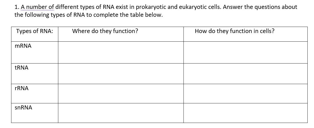 Solved 1. A number of different types of RNA exist in | Chegg.com