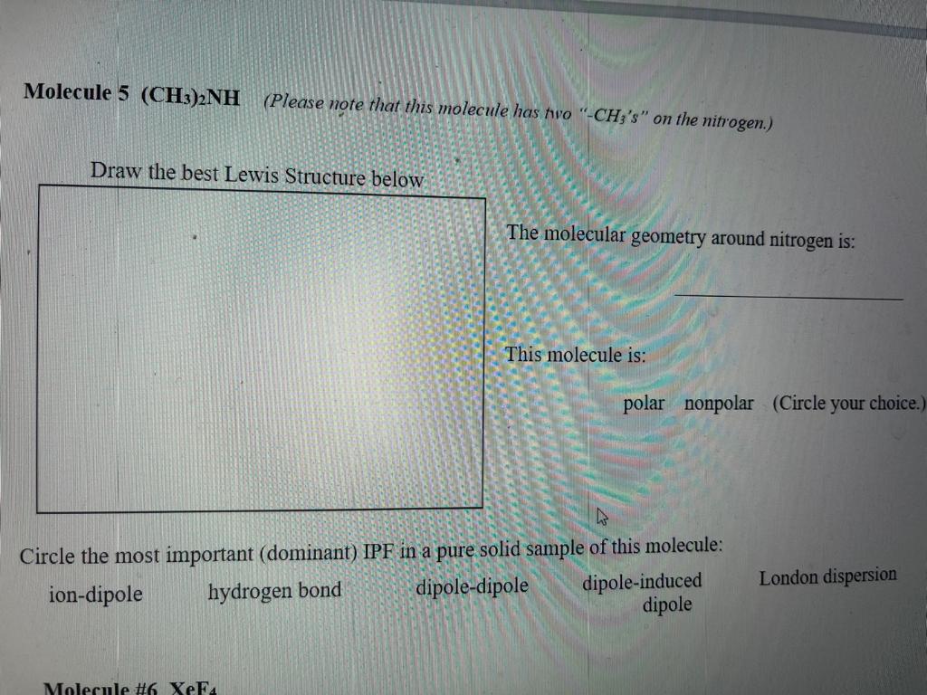 Solved Molecule 5 (CH3)2NH (Please note that this molecule | Chegg.com