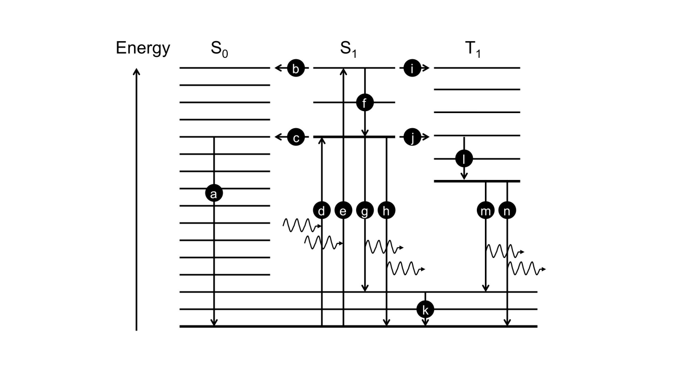 Solved (2) The simplified electronic/vibrational/rotational | Chegg.com