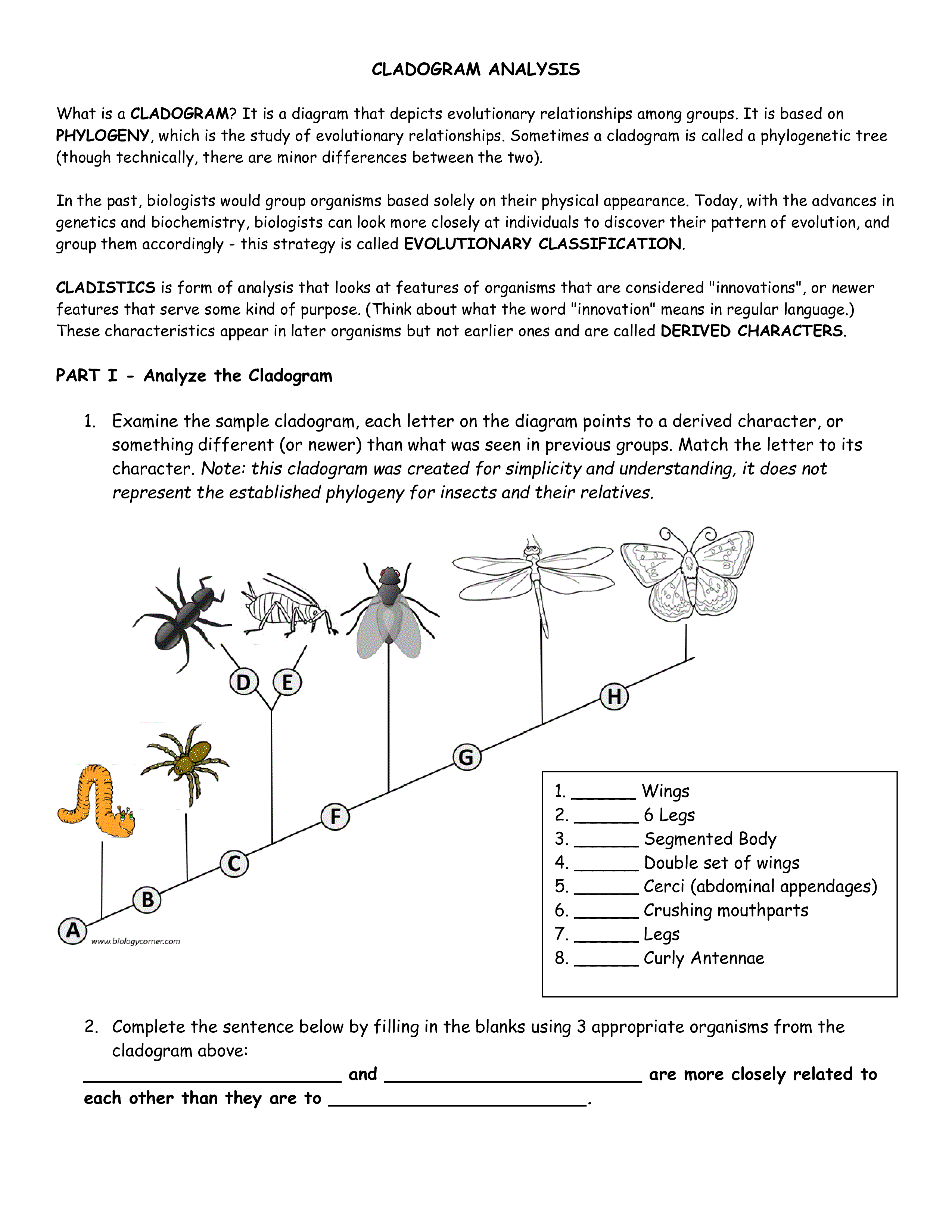 Solved CLADOGRAM ANALYSIS What is a CLADOGRAM? It is a | Chegg.com