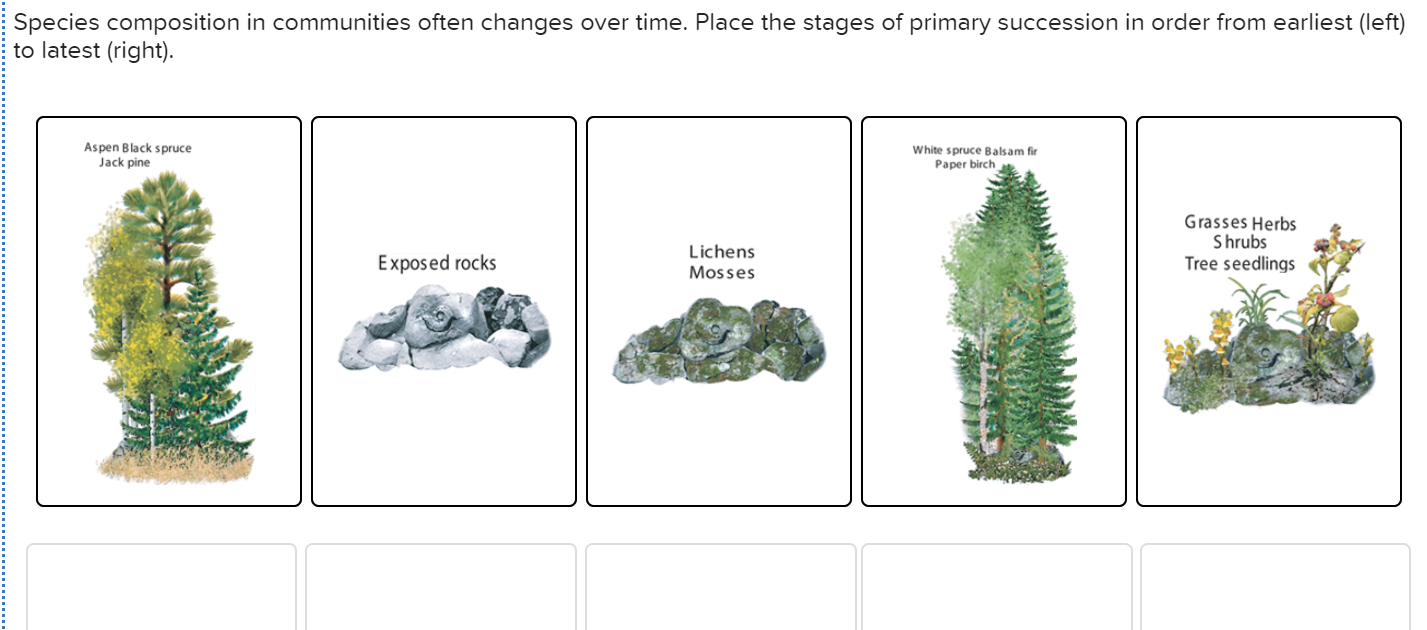 Solved Species composition in communities often changes over | Chegg.com