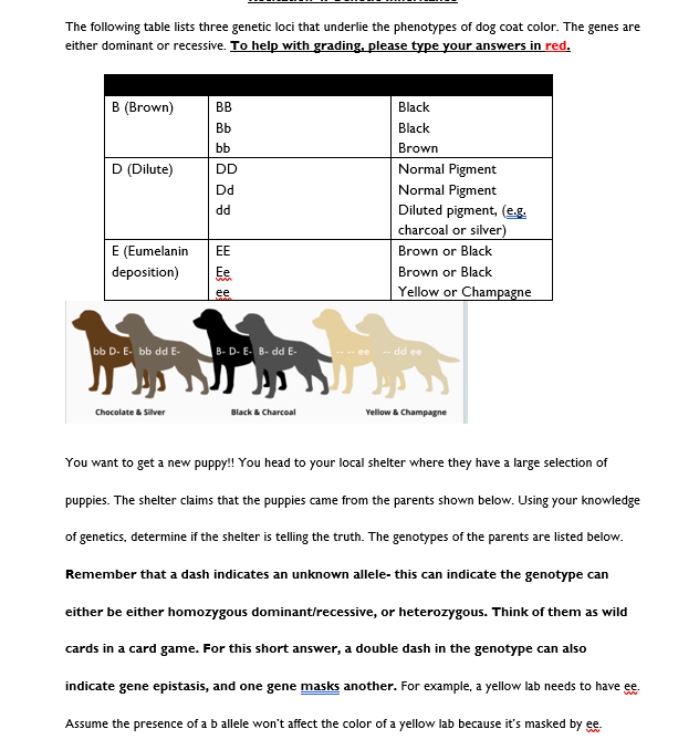 I need the Punnett square filled out and the | Chegg.com