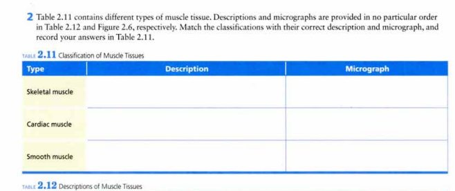 Solved 4 Fill in the blanks using your model and/or cadaver | Chegg.com