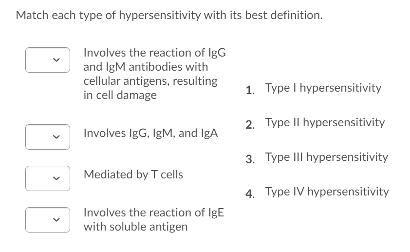 Solved Match each type of hypersensitivity with its best | Chegg.com