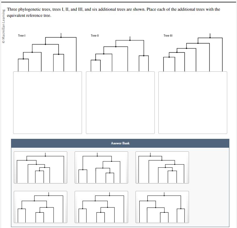 Solved Three phylogenetic trees, trees I, II, ﻿and III, and | Chegg.com