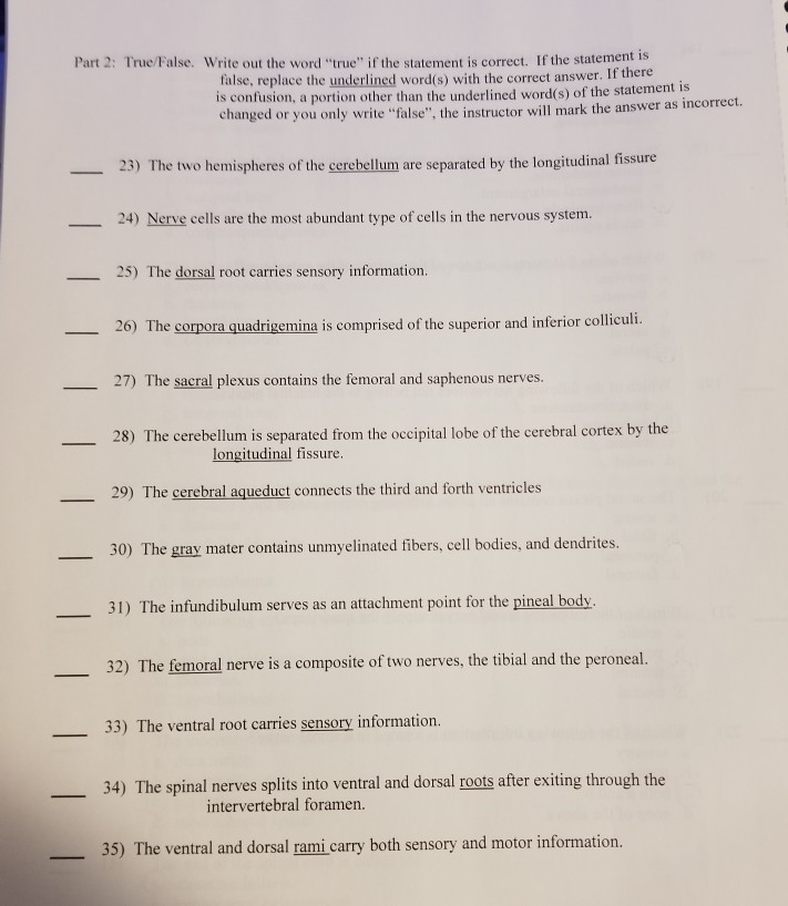 Solved Part 2: True False. Write out the word "'true" if the | Chegg.com