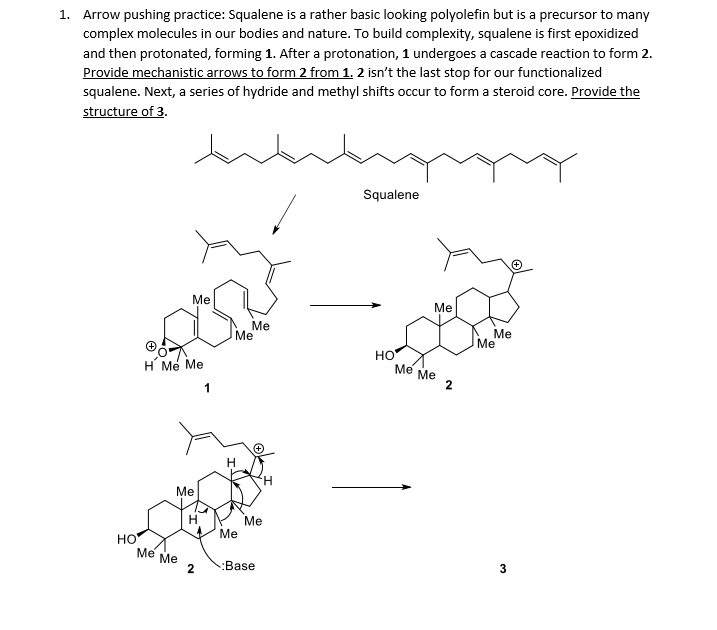 Solved 1. Arrow pushing practice: Squalene is a rather basic | Chegg.com