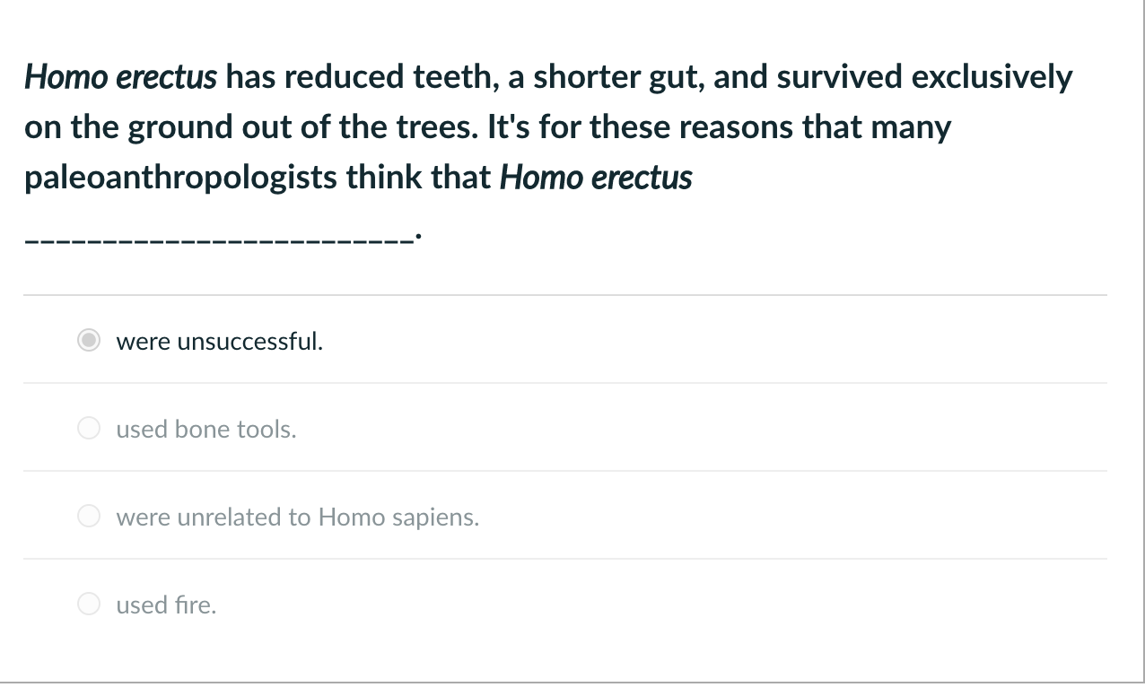 Solved Homo erectus has reduced teeth, a shorter gut, and | Chegg.com