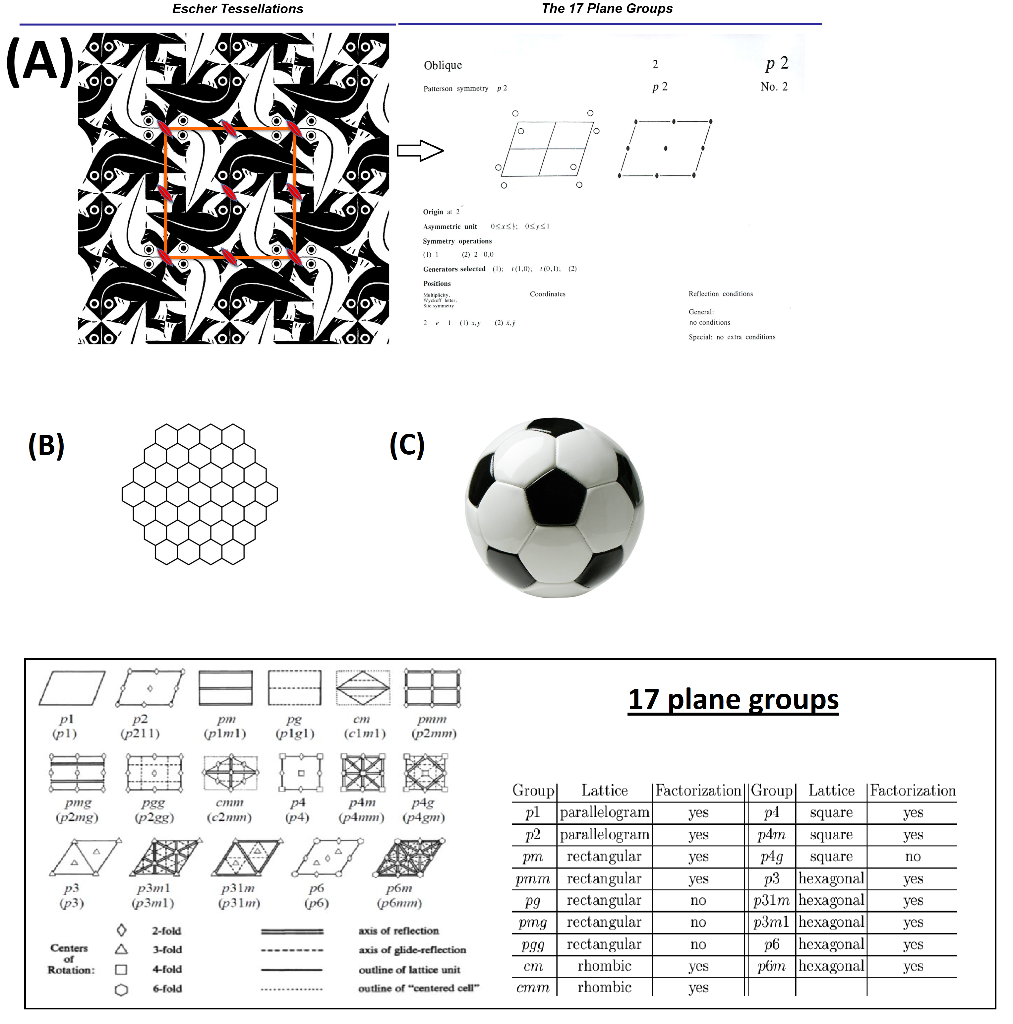 In the following picture, (A) is the tessellation | Chegg.com