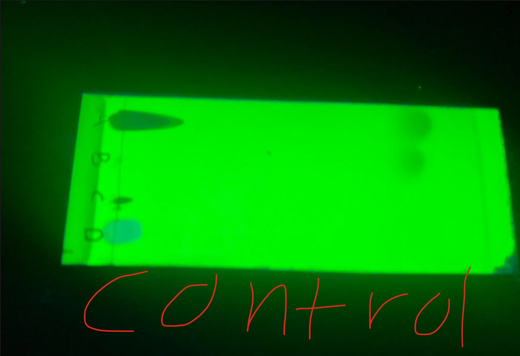 Solved How does a TLC plate (thin layer chromatography) | Chegg.com
