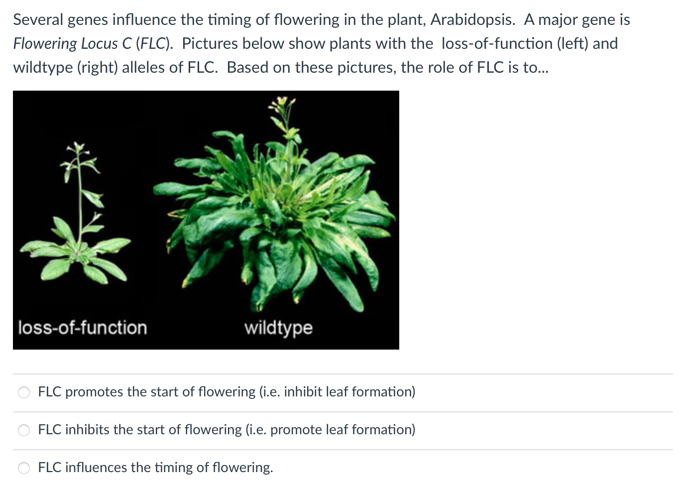 Solved Several genes influence the timing of flowering in | Chegg.com