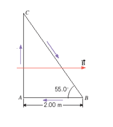 Solved The triangular loop of wire shown in the drawing | Chegg.com