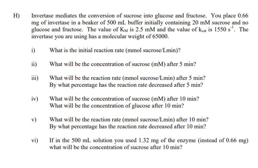Solved H) Invertase mediates the conversion of sucrose into | Chegg.com