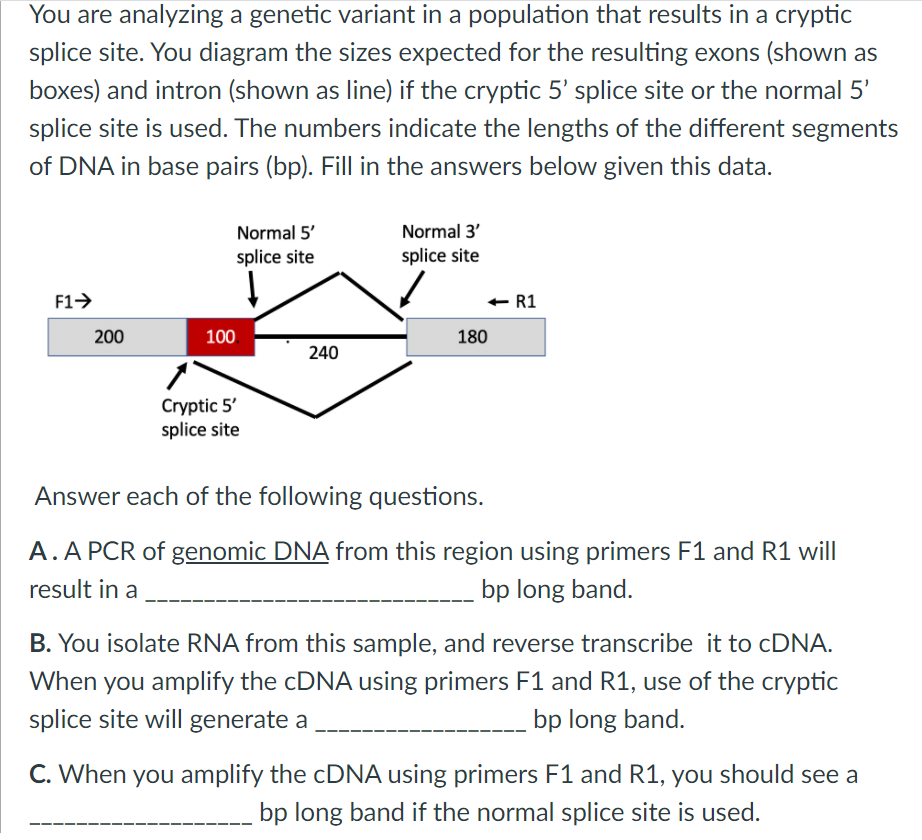 Solved You are analyzing a genetic variant in a population | Chegg.com