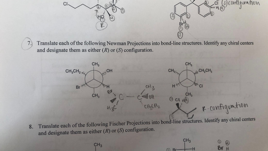 Solved 7. Translate each of the following Newman Projections | Chegg.com