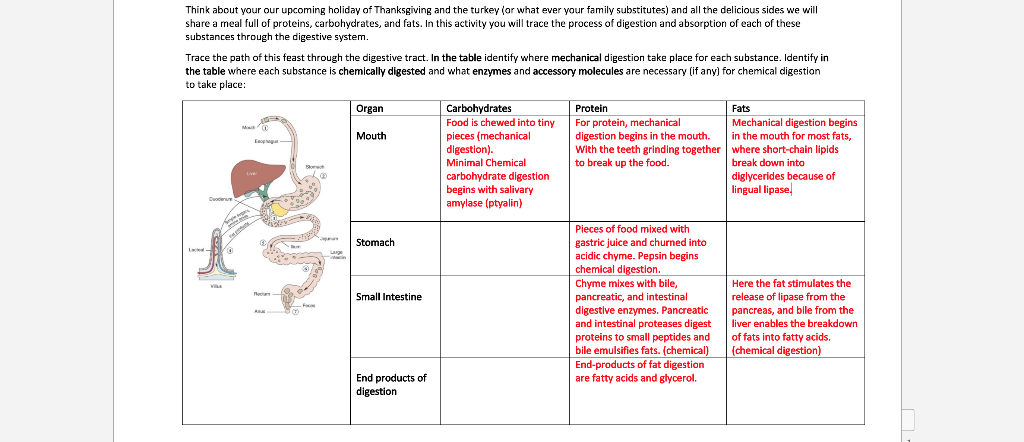Solved Think about your our upcoming holiday of Thanksgiving | Chegg.com