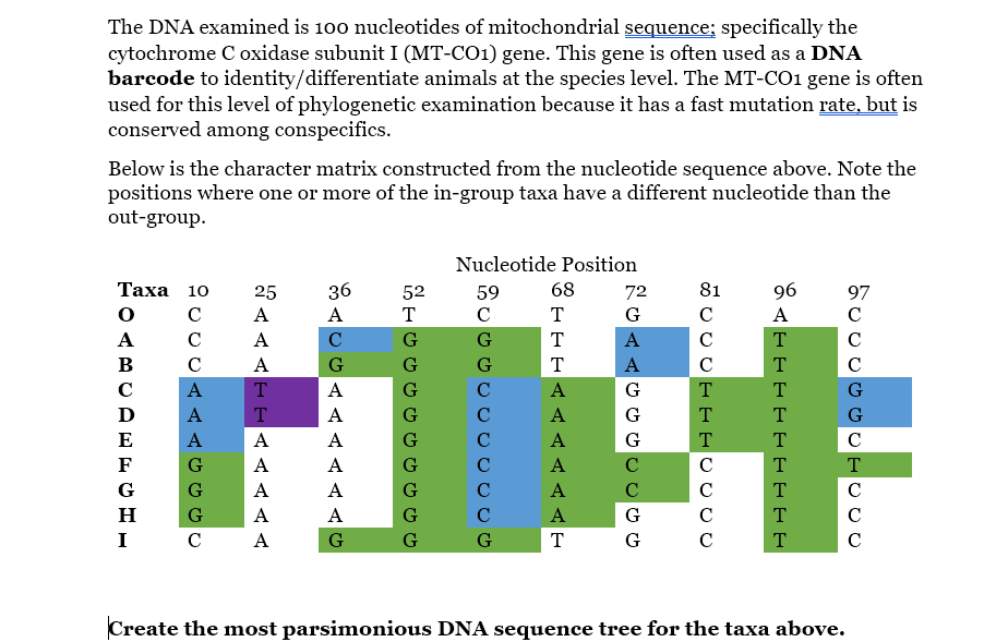 Solved TASKI Character Matrix Outgroup dorsal fin chin | Chegg.com