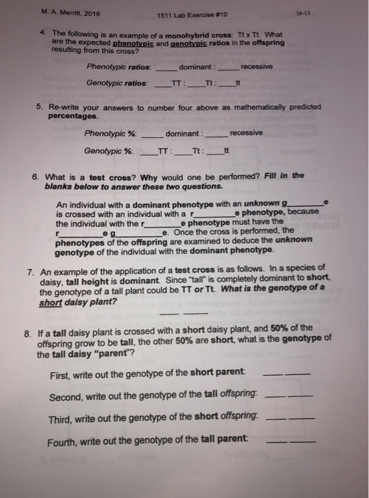 Solved Procedure 4 Solve The Genetics Problems Below For Chegg