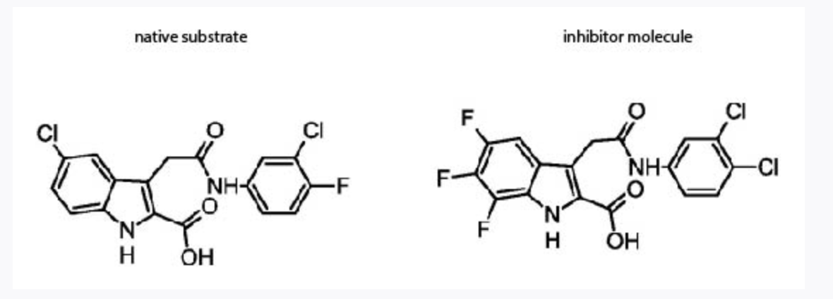 Solved native substrate inhibitor molecule NHH o -CI -F N H | Chegg.com