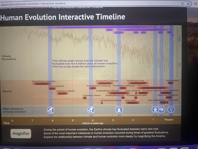 what does this timeline tell us about how species | Chegg.com
