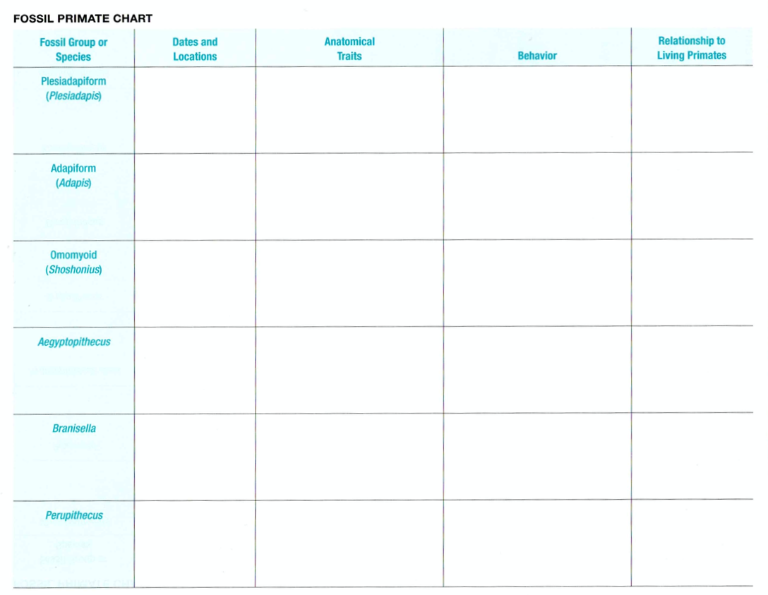 Solved FOSSIL PRIMATE CHART Fossil Group or Species Dates | Chegg.com