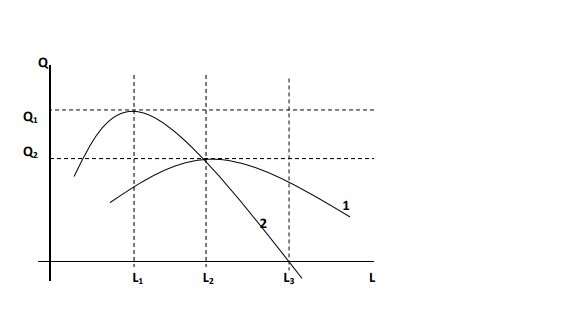 Solved Output is increasing in the labor input up to what | Chegg.com