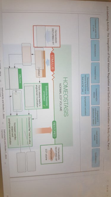 Solved Art-labeling Activity: The Integration of Fluid | Chegg.com