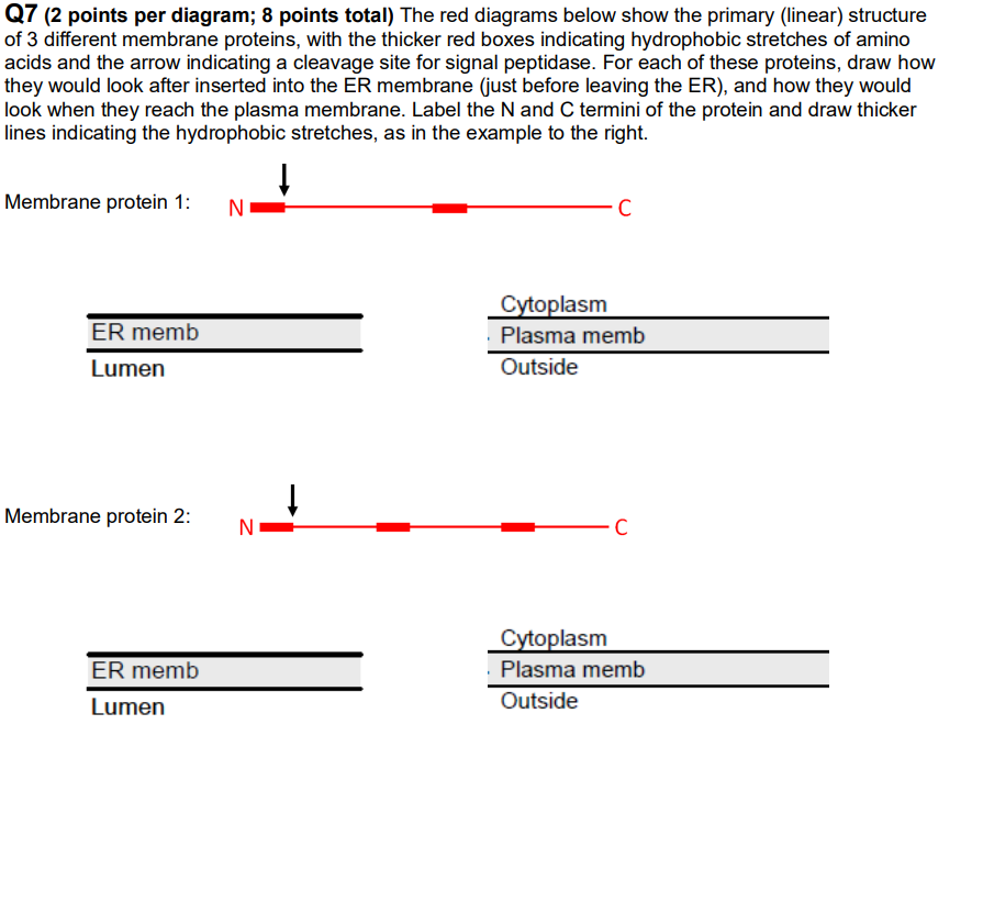 Solved Q7 (2 points per diagram; 8 points total) The red | Chegg.com