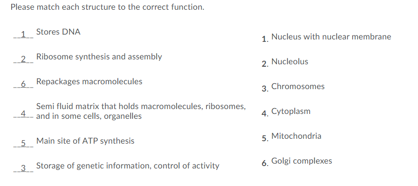 Solved Please match each structure to the correct function. | Chegg.com