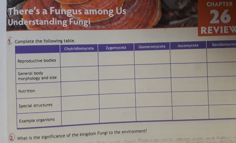 Solved There's a Fungus among Us Understanding Fungi CHAPTER | Chegg.com