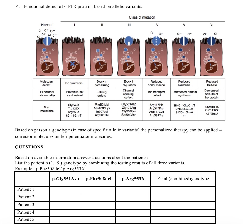 4. Functional defect of CFTR protein, based on | Chegg.com