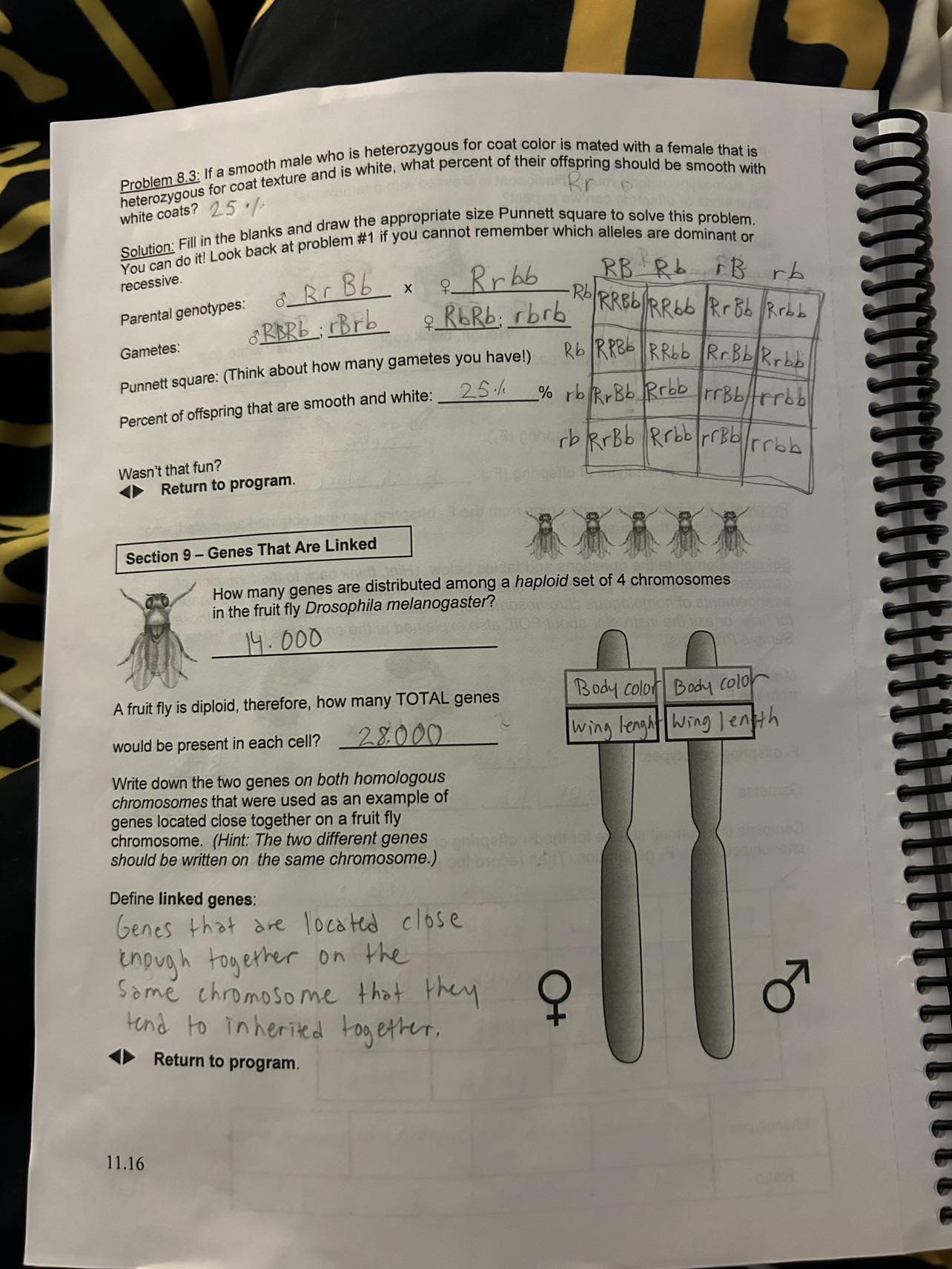 Solved Hi I need some help to go through these questions and | Chegg.com