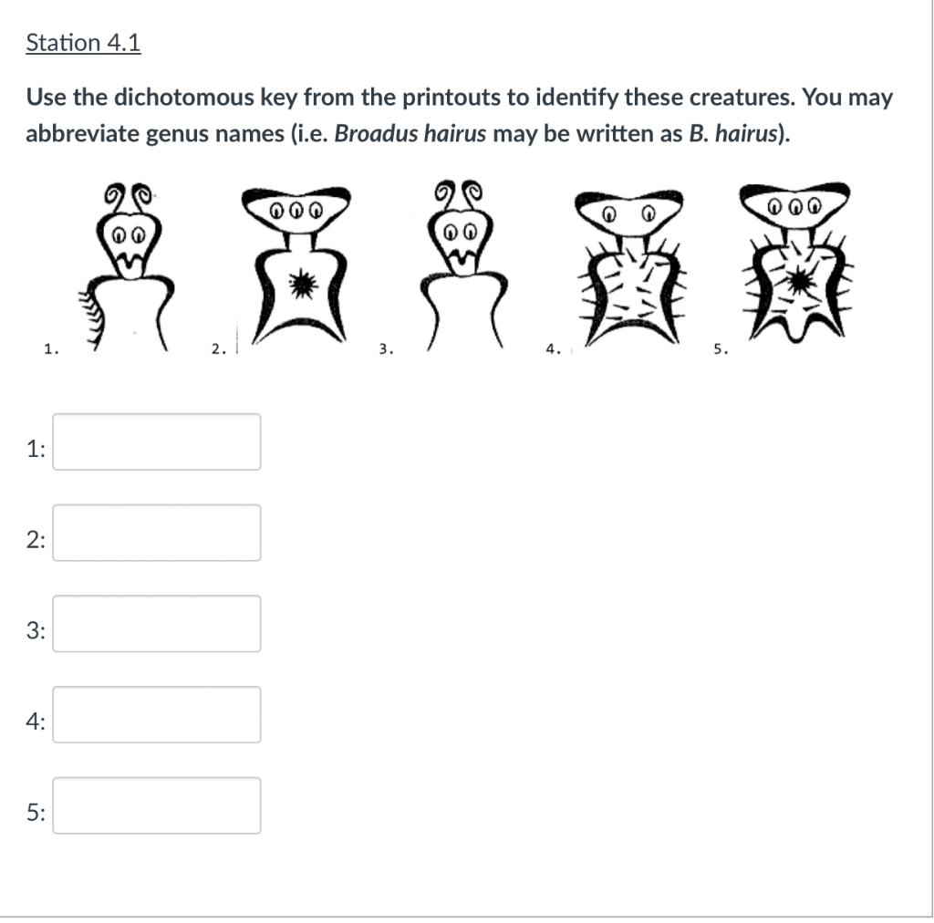 Solved 1. a. The creature has a large wide head. go to 2 b. | Chegg.com