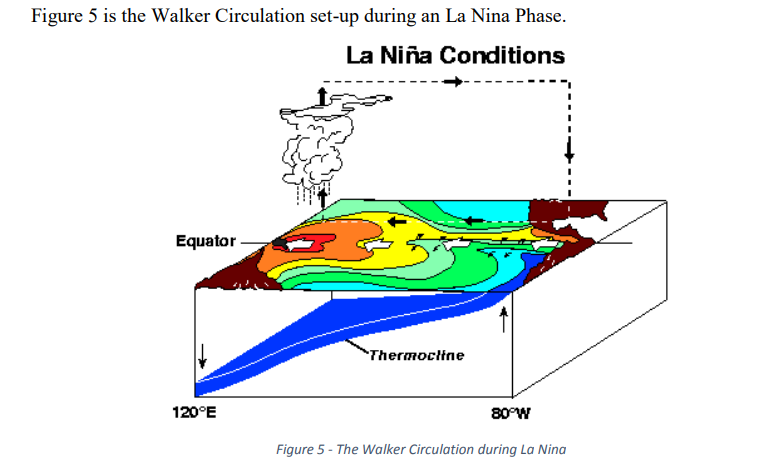 Solved Figure 5 is the Walker Circulation set-up during an | Chegg.com