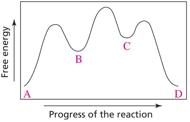Solved For the following questions, refer to the free energy | Chegg.com