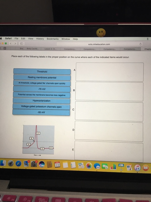Solved: Place Each Of The Following Labels In The Proper P... | Chegg.com