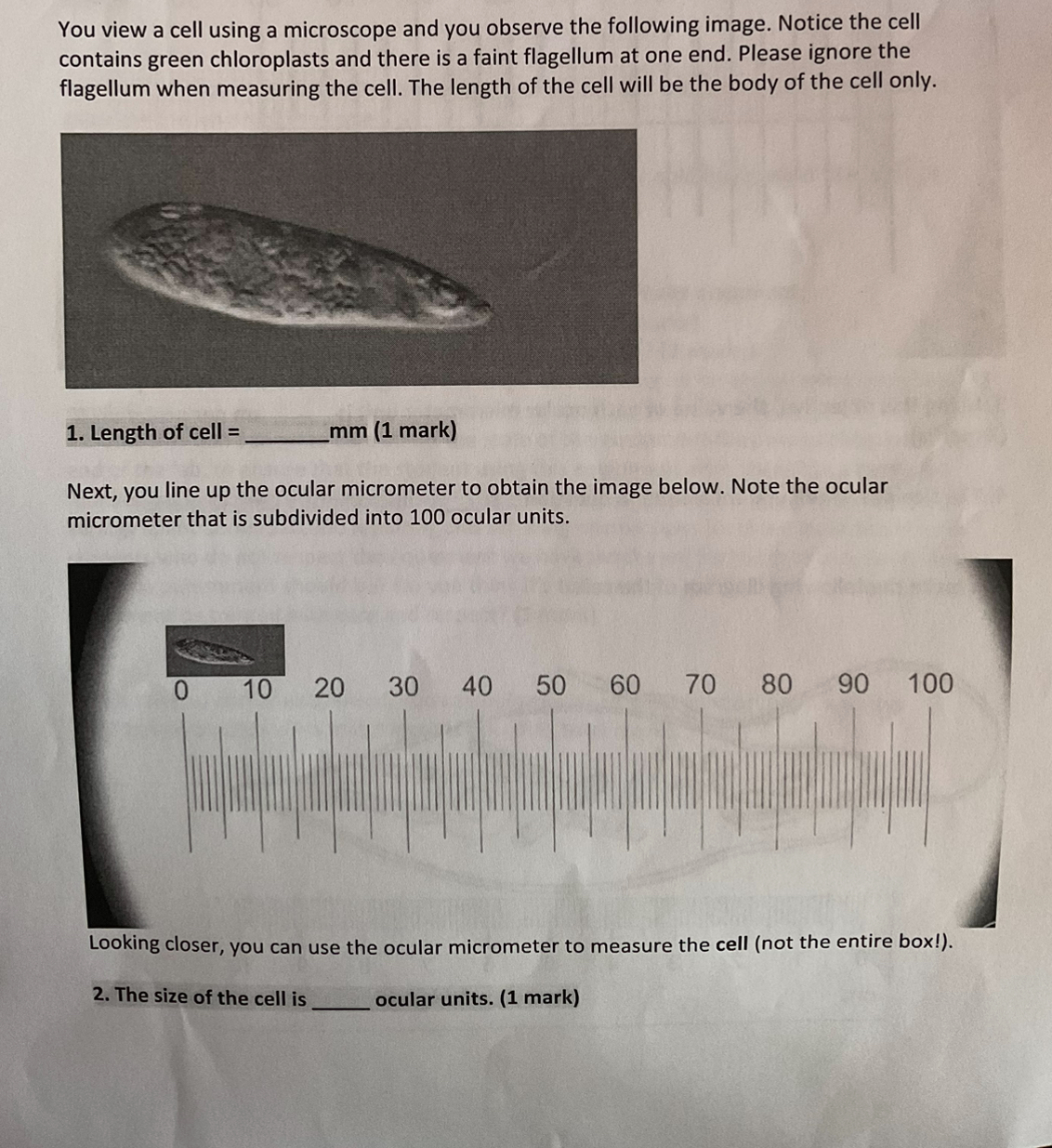 Solved You view a cell using a microscope and you observe | Chegg.com