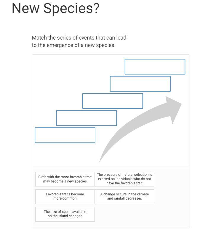 Solved New Species? Match the series of events that can lead | Chegg.com