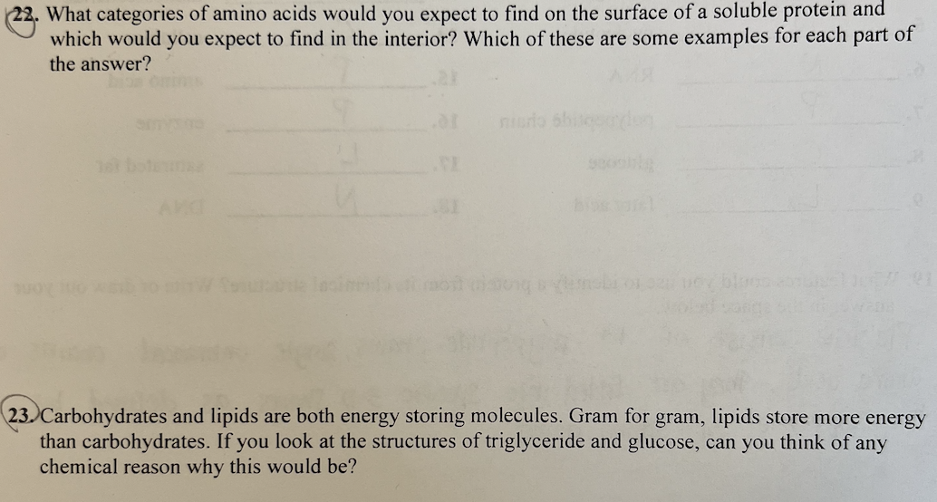 Solved 22. What categories of amino acids would you expect | Chegg.com
