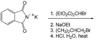 Solved NK 1. (EtO2C)2CHBr 2. NaOET 3. (CH3)2CHCH2Br 4. HCI, | Chegg.com