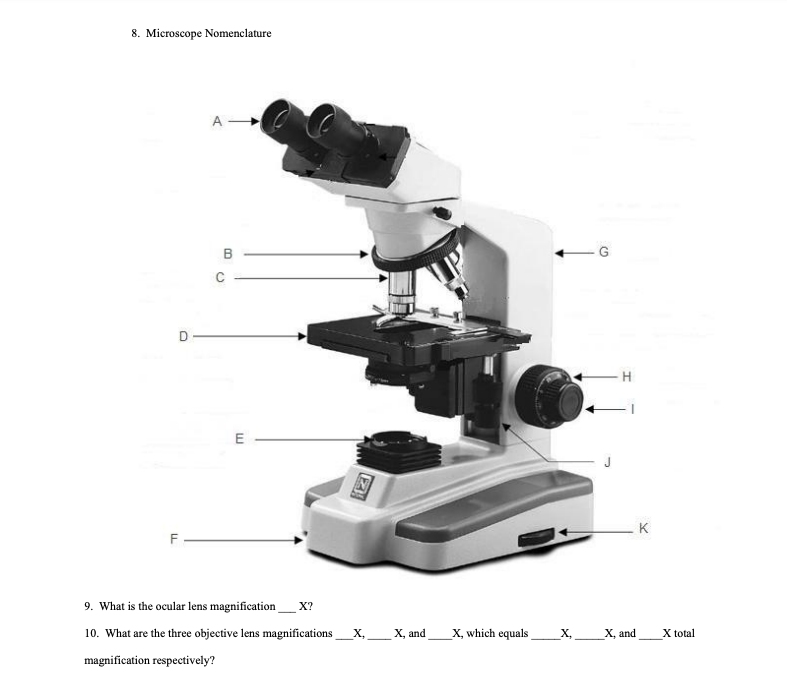 Solved 8. Microscope Nomenclature A- B D C E F 9. What is | Chegg.com