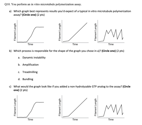 Solved Q10 You Perform An In Vitro Microtubule 