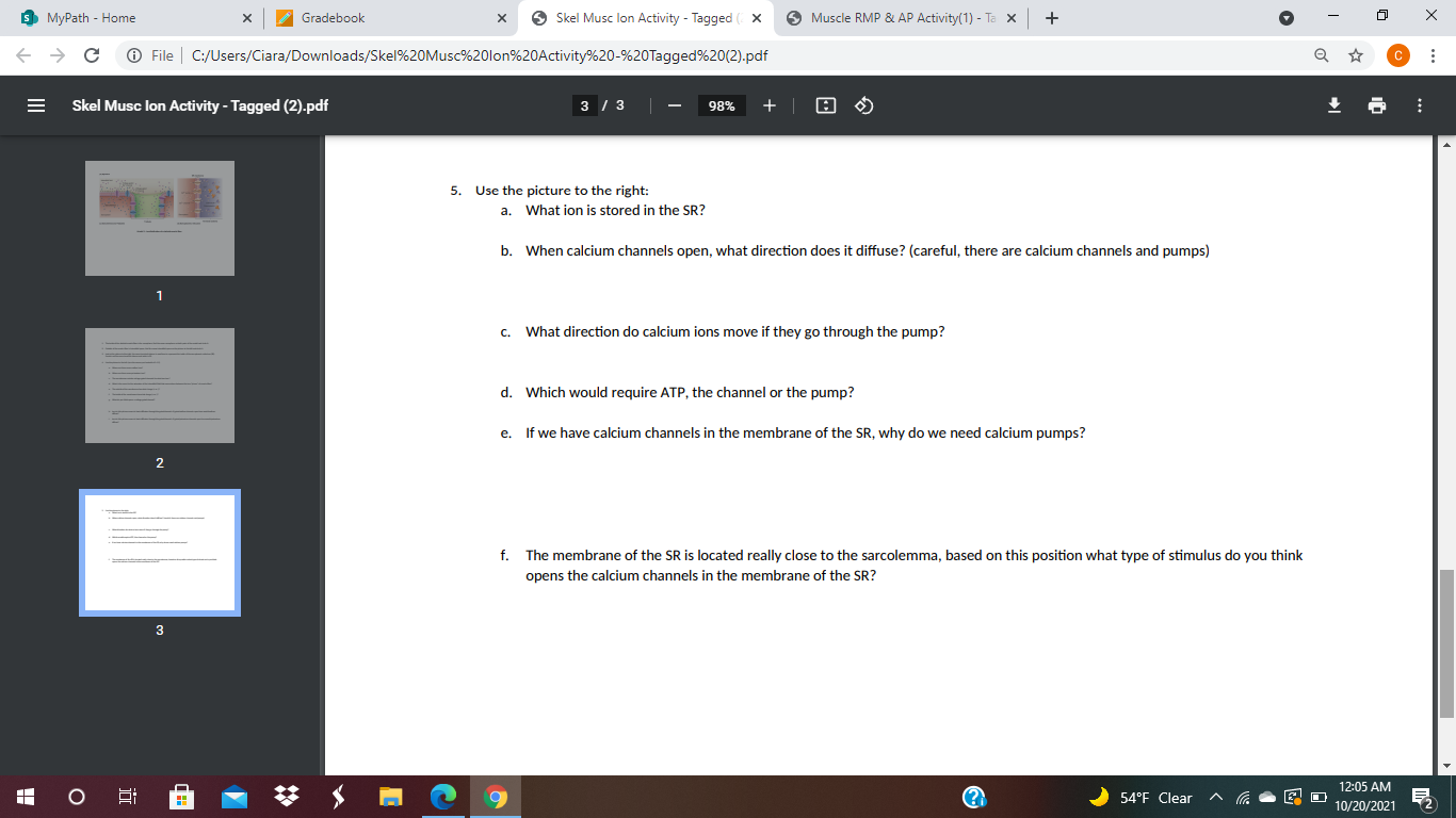 Solved MyPath - Home Gradebook х Skel Musc lon Activity - | Chegg.com