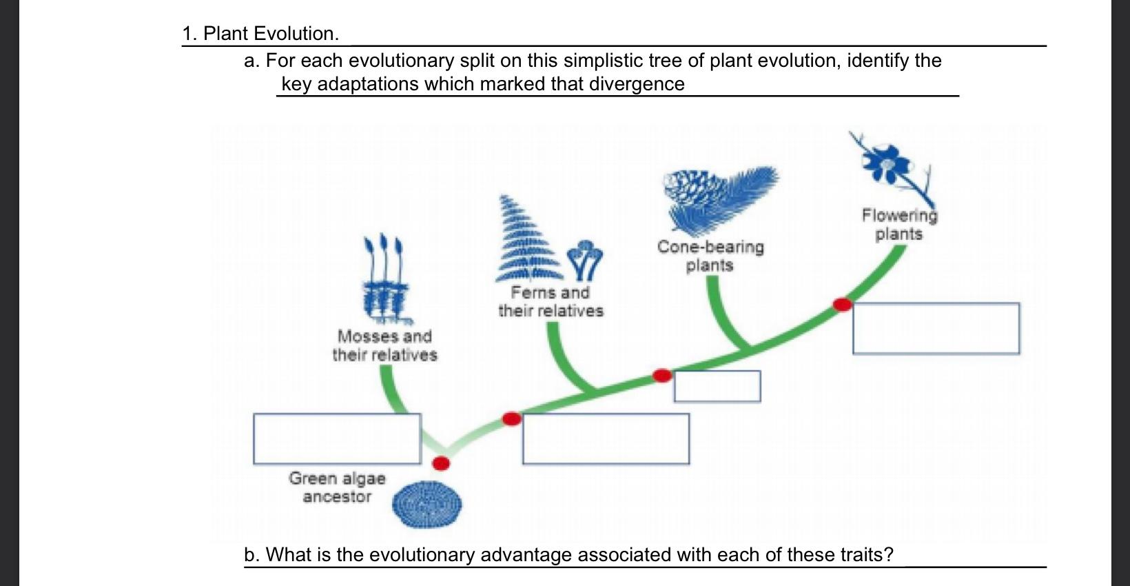 Solved 1. Plant Evolution. a. For each evolutionary split on | Chegg.com