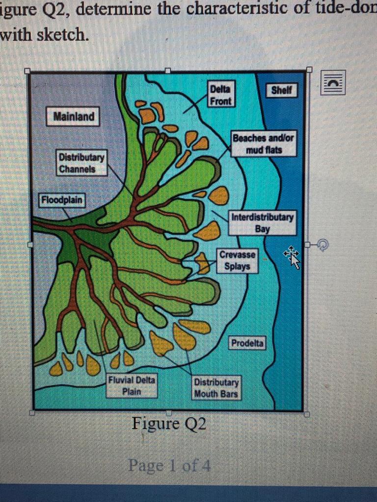Solved (a) Identify the key transport processes, | Chegg.com