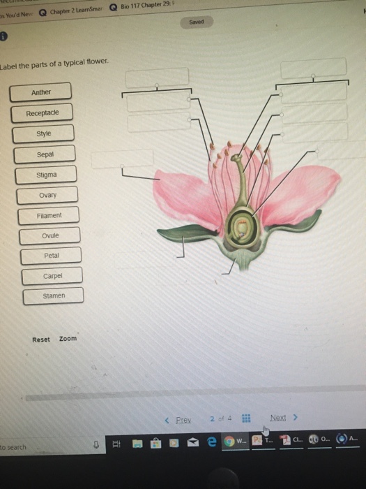 Solved s You'd New QChapter 2 LearnSmar QBio 117 Chapter 29F | Chegg.com